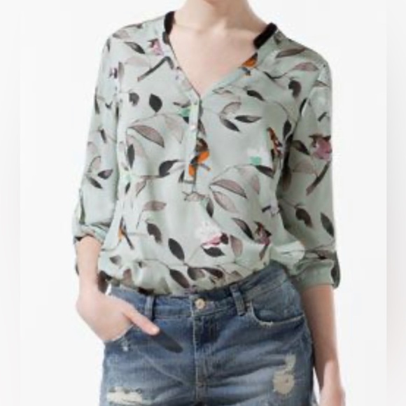 Zara | Tops | Zara Basic Mint Green Print Blouse | Poshmark